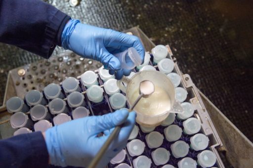 Levensproductie Nederlandse koeien stijgt tot 37.401 kg melk ...